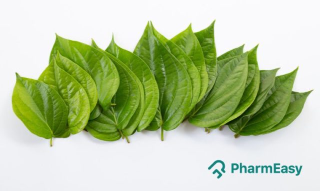 Betel Leaf: Benefits, Uses, Side Effects & More | PharmEasy