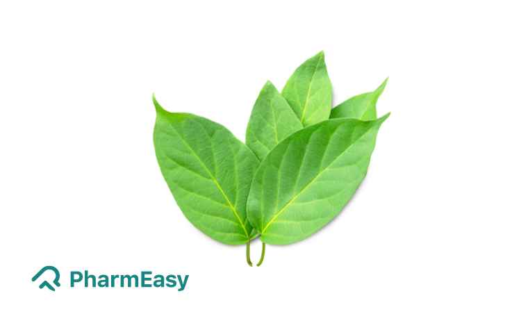 Madhunashini(Gymnema Sylvestre): Benefits, Uses & Side Effects | PharmEasy